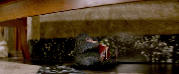 ‘Niffler’ pictures — Harry Potter Fan Zone