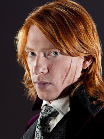 Bill Weasley wedding portrait — Harry Potter Fan Zone
