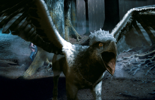 Harry touches Buckbeak — Harry Potter Fan Zone