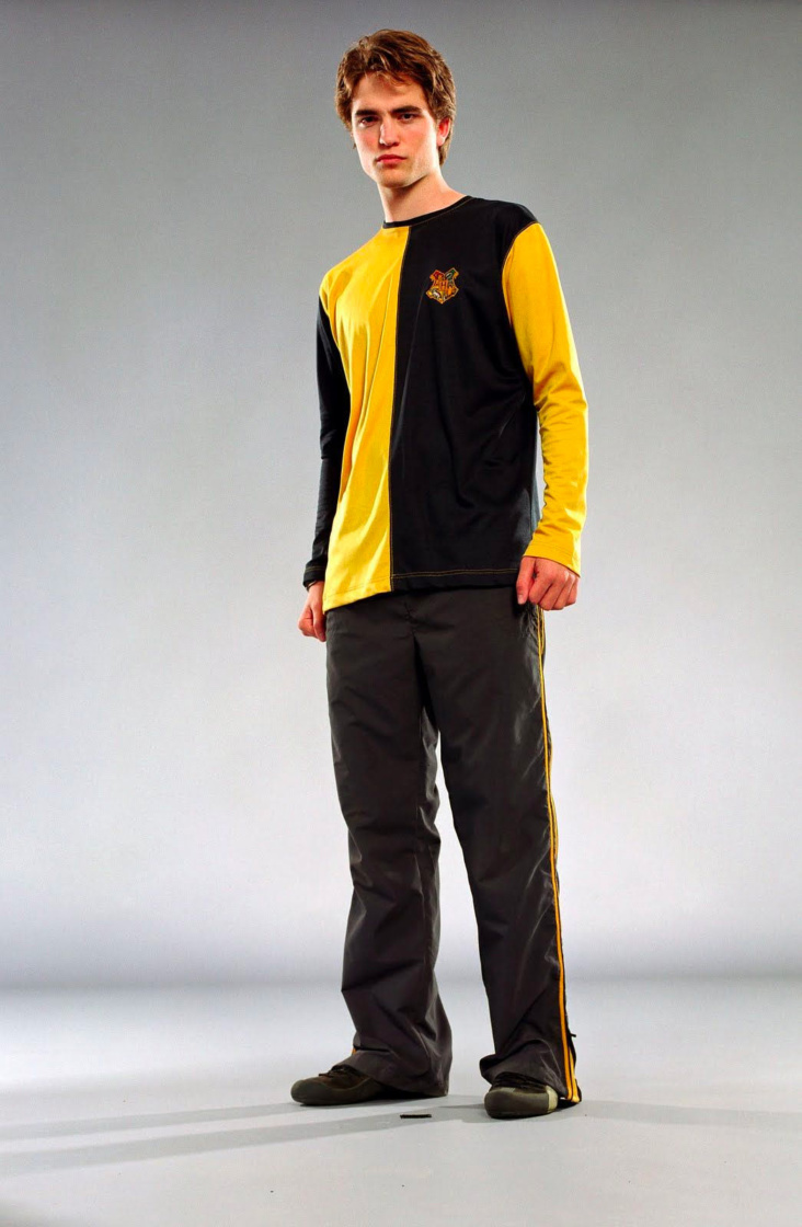 Portrait of Cedric Diggory in his Third Task robes — Harry Potter Fan Zone