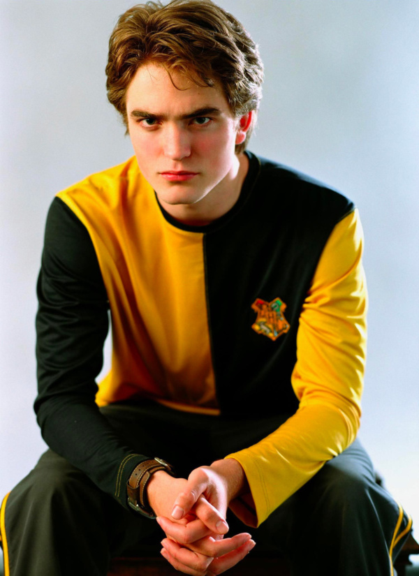 Portrait of Cedric Diggory in his Third Task robes — Harry Potter Fan Zone