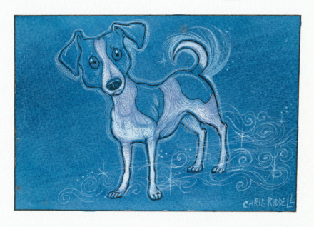 Jack Russell Terrier (Chris Riddell Patronus on a Postcard) — Harry ...