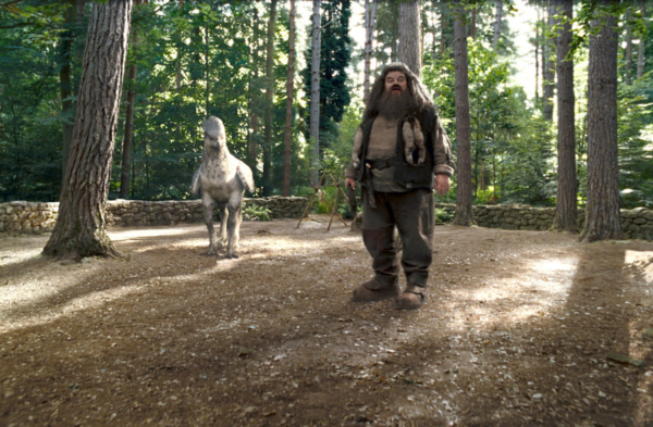 Harry approaches Buckbeak — Harry Potter Fan Zone