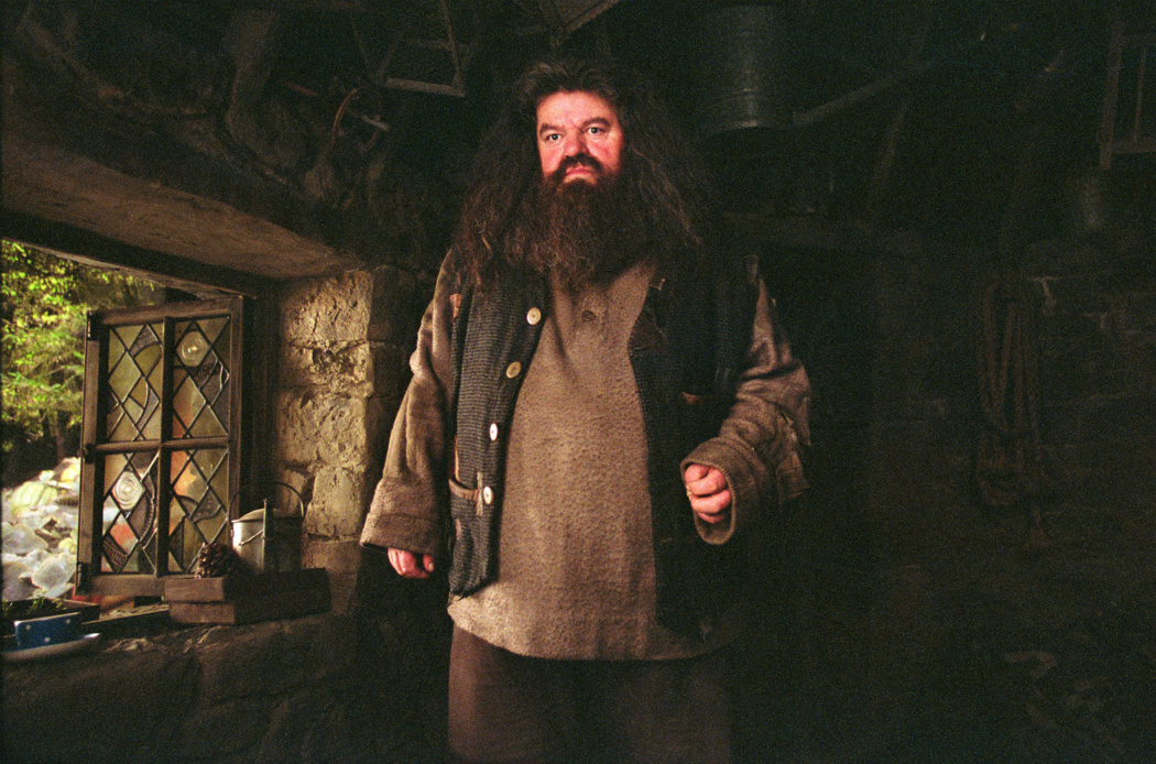 Hagrid in his cabin — Harry Potter Fan Zone