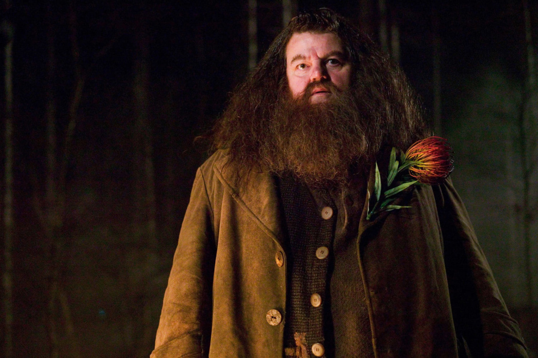 Hagrid with flower — Harry Potter Fan Zone