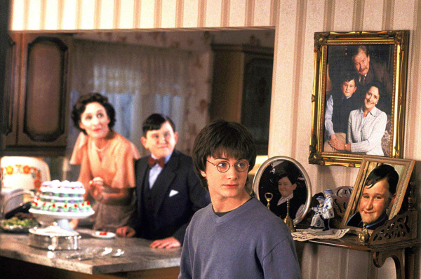 The Dursley family — Harry Potter Fan Zone