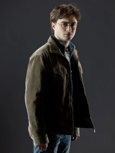 Portrait of Harry Potter — Harry Potter Fan Zone