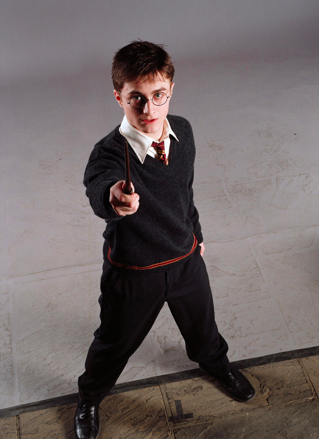 Portrait of Harry Potter — Harry Potter Fan Zone