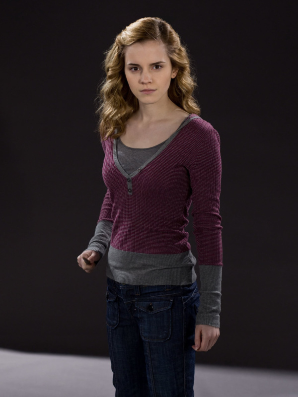 Portrait of Hermione Granger — Harry Potter Fan Zone