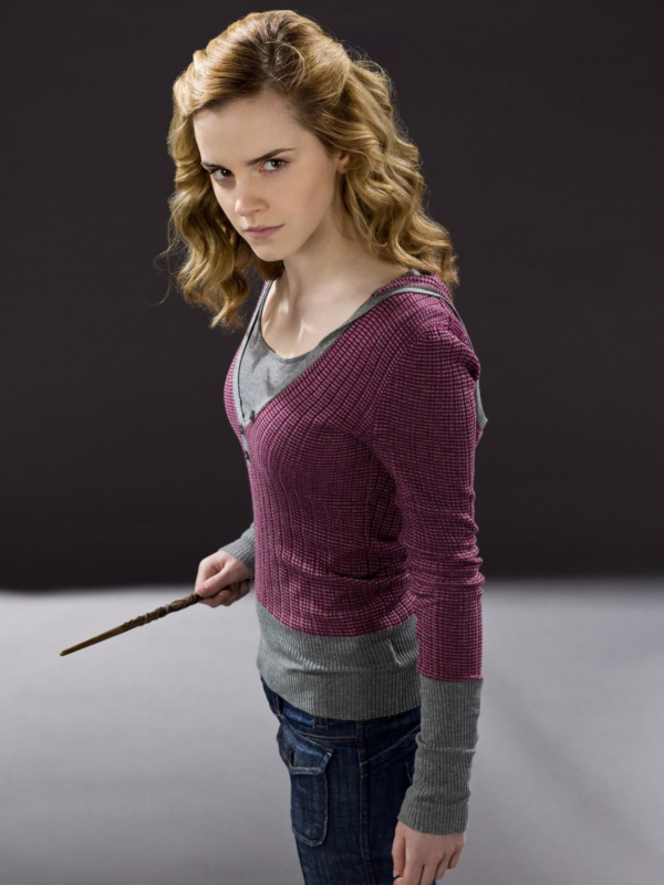 Portrait of Hermione Granger — Harry Potter Fan Zone