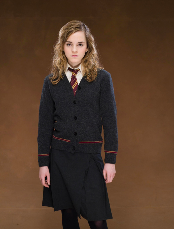 Portrait of Hermione Granger — Harry Potter Fan Zone