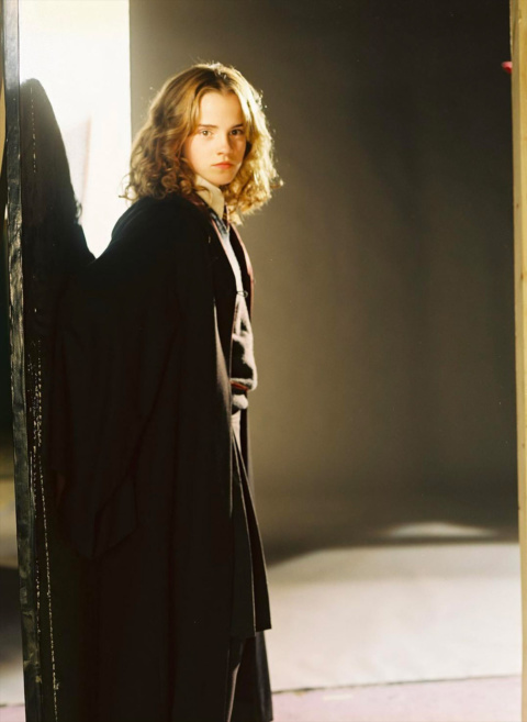 Portrait of Hermione Granger — Harry Potter Fan Zone