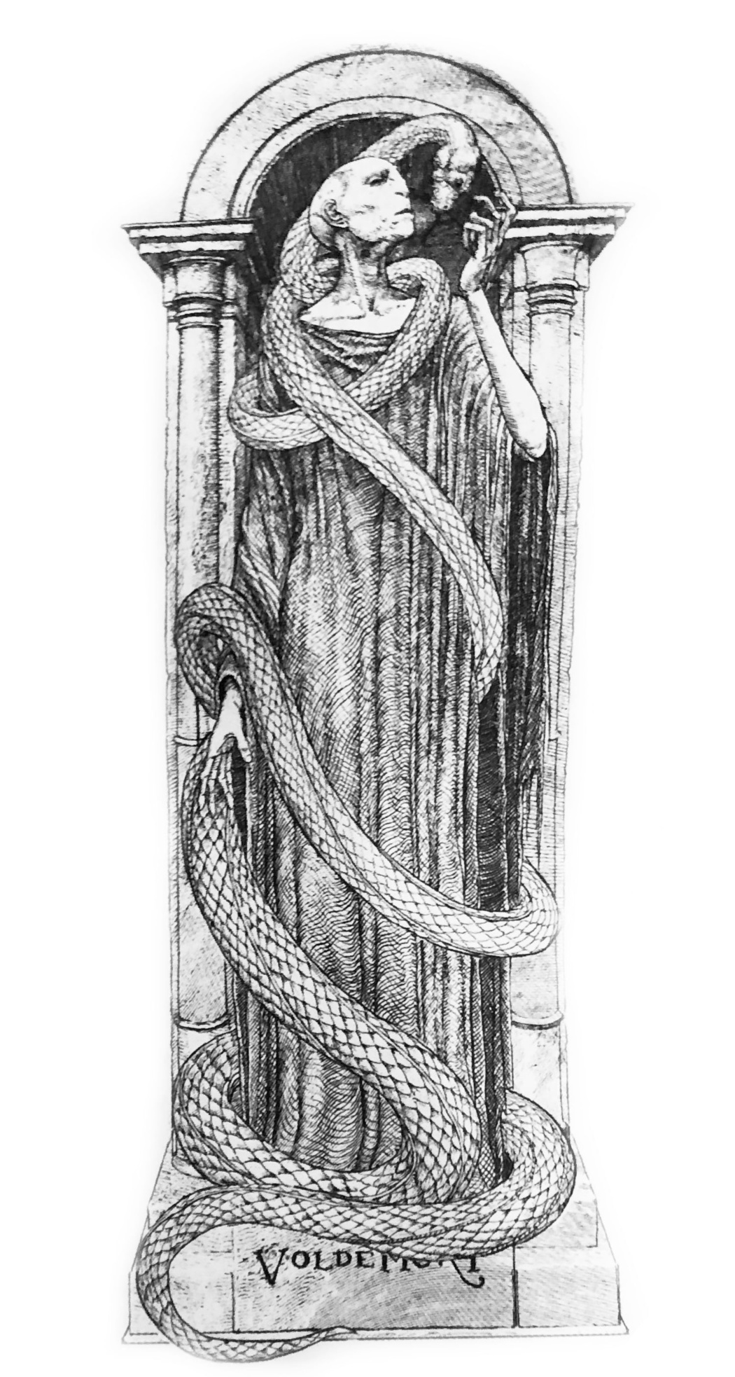 Lord Voldemort illustration (house editions) — Harry Potter Fan Zone