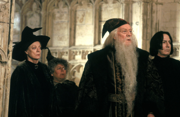 McGonagall, Sprout, Dumbledore and Snape — Harry Potter Fan Zone