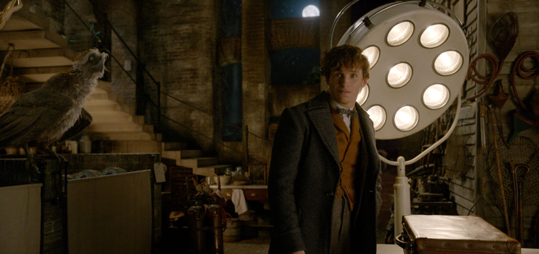 The Augurey — Harry Potter Fan Zone