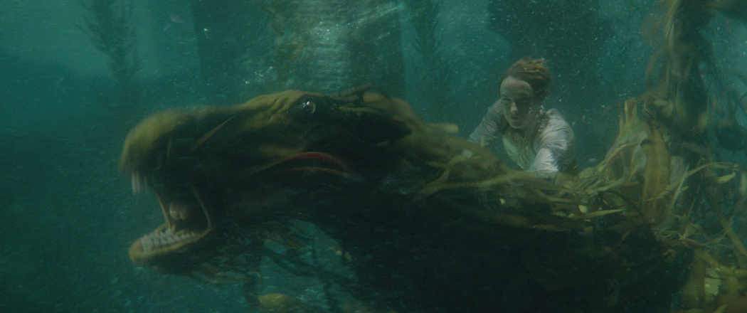 Newt rides the Kelpie — Harry Potter Fan Zone