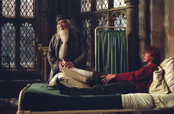 Ron and Dumbledore in the Hospital Wing — Harry Potter Fan Zone