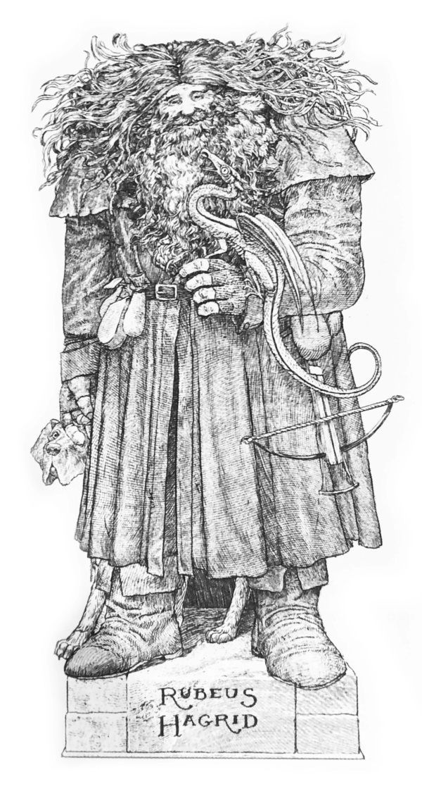 Rubeus Hagrid illustration (house editions) — Harry Potter Fan Zone