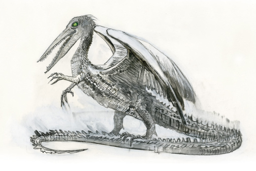 ‘Snallygaster’ pictures — Harry Potter Fan Zone