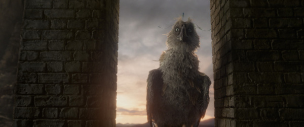 The Augurey — Harry Potter Fan Zone