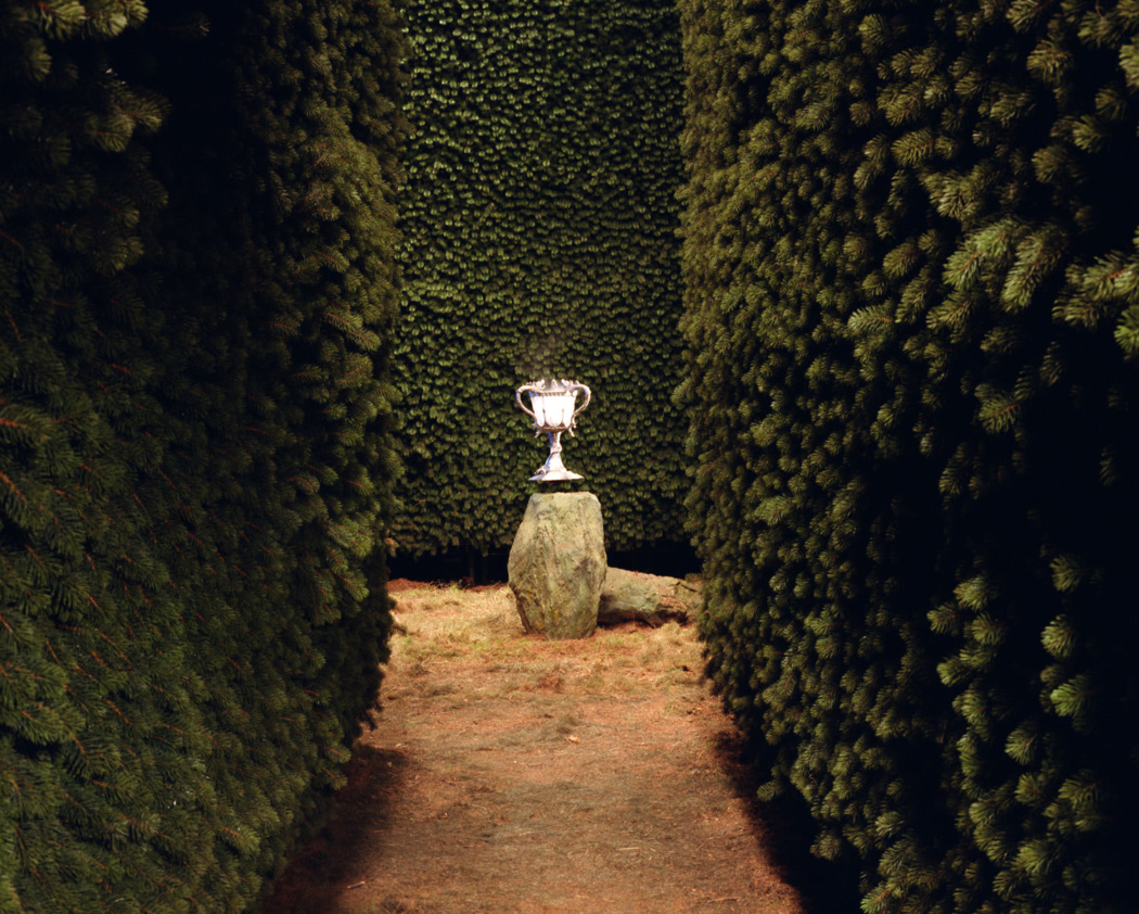Triwizard Cup in the maze — Harry Potter Fan Zone