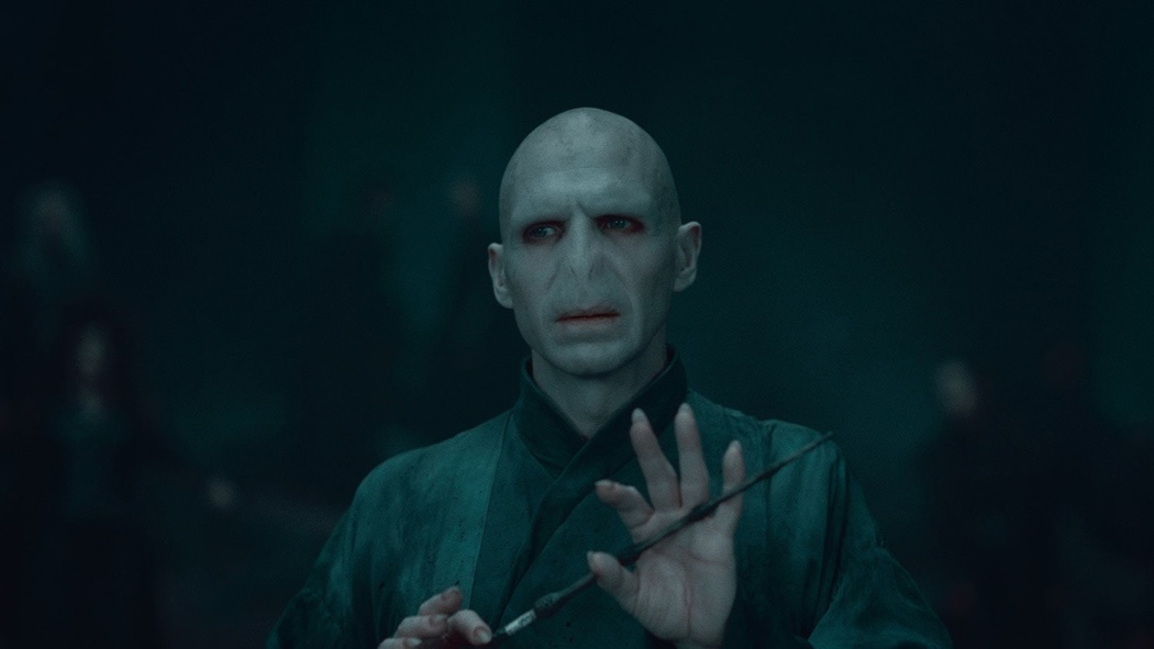Voldemort with the Elder Wand — Harry Potter Fan Zone