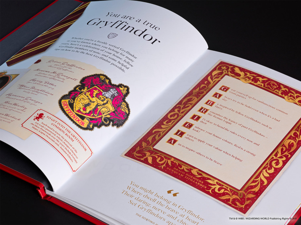 ‘Keys and Curios’ Gryffindor journal — Harry Potter Fan Zone